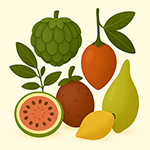 Exotické ovoce a zelenina – semena tropických rostlin