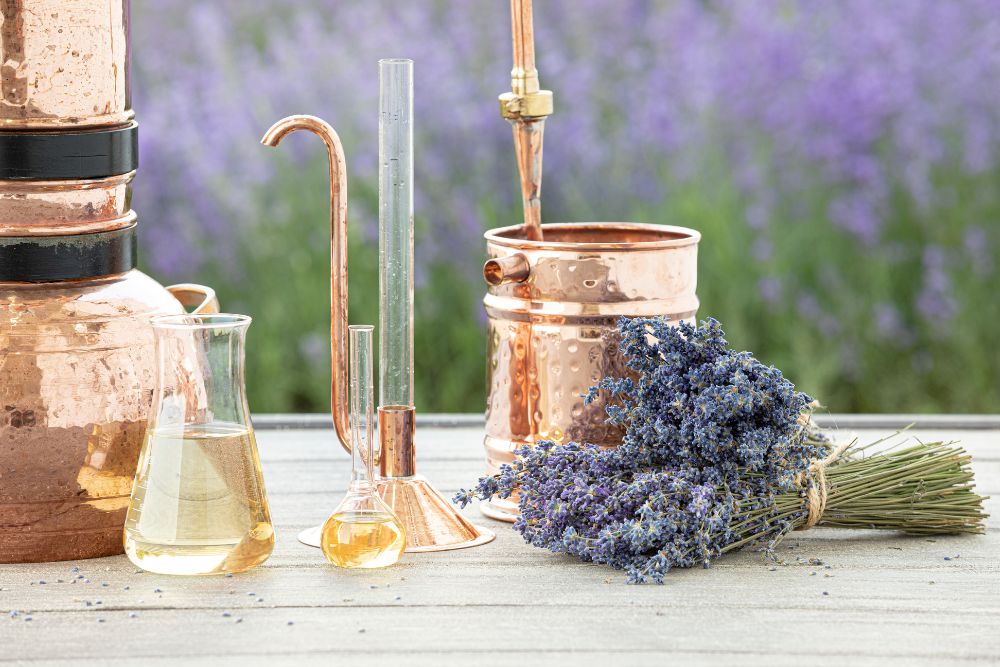 Jak se vyrábí esenciální oleje: Destilace a lisování